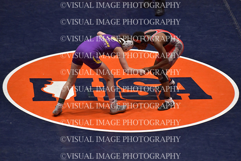 Visual Image Photography Ihsa Girls Wrestling 22