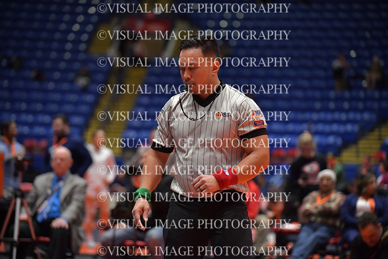 Visual Image Photography Ihsa Girls Wrestling 25